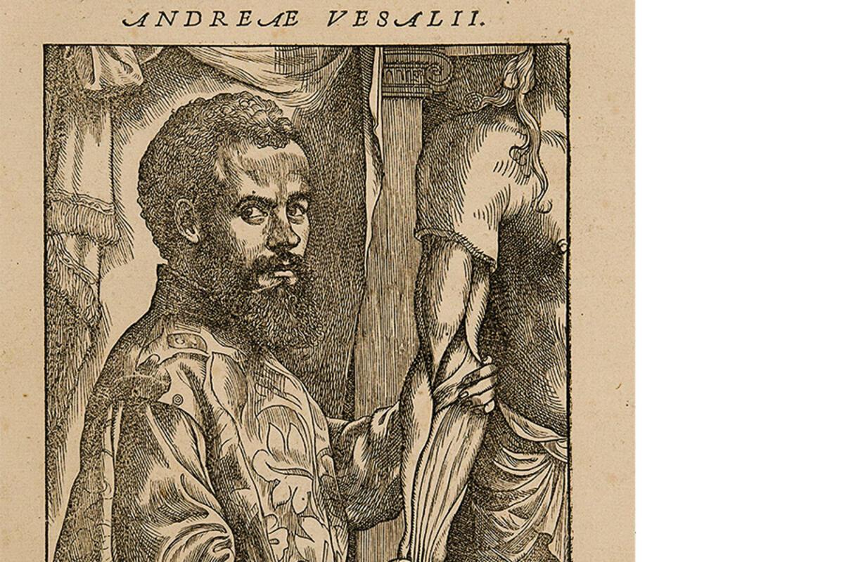 De anatoom ontleed - Vesalius in M Leuven | OKV