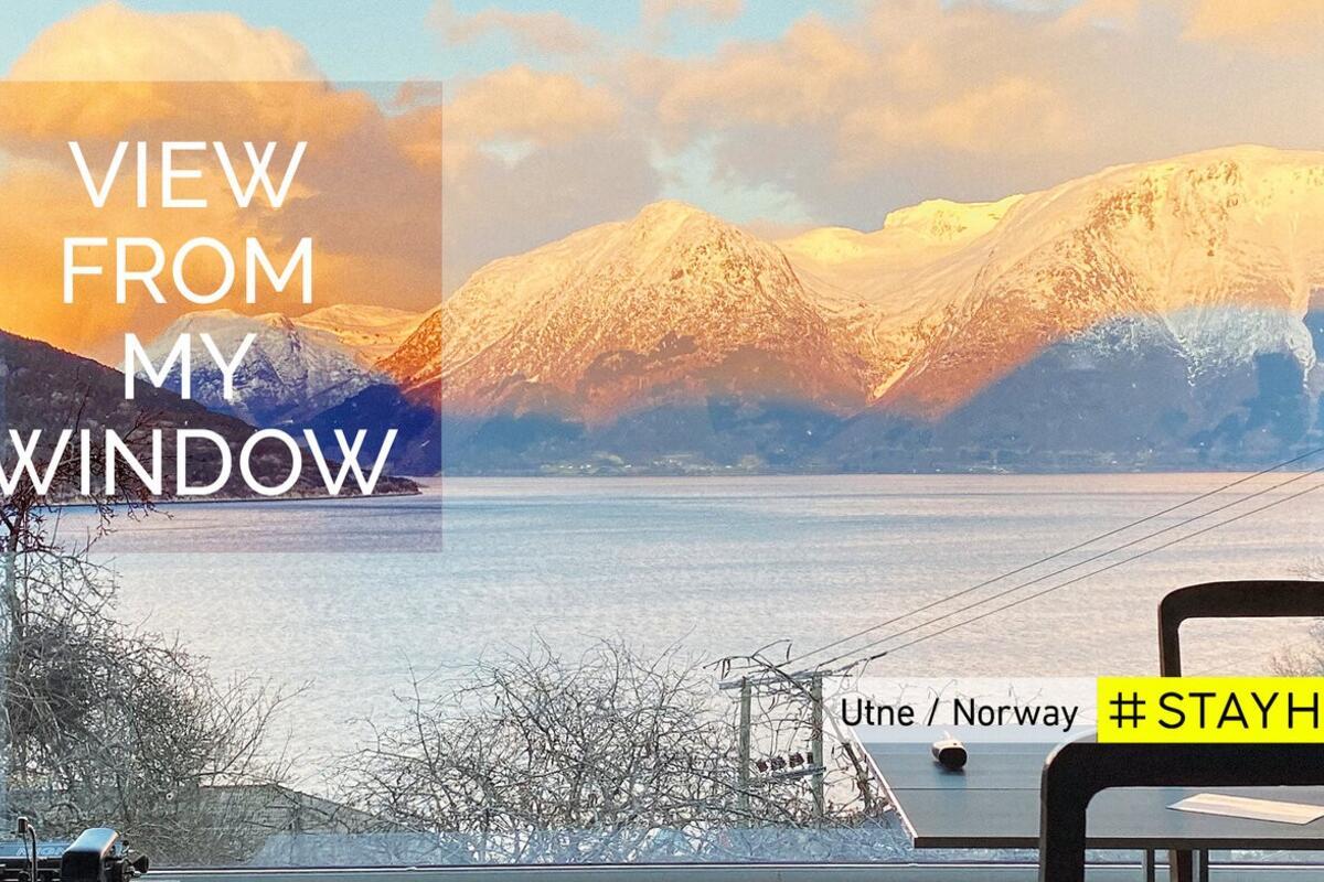 View from my window | OKV