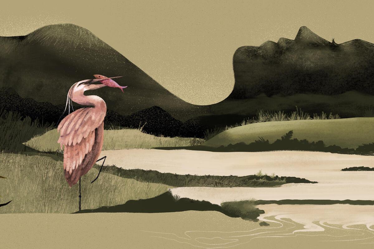 Flore Deman, Eén met de natuur | OKV