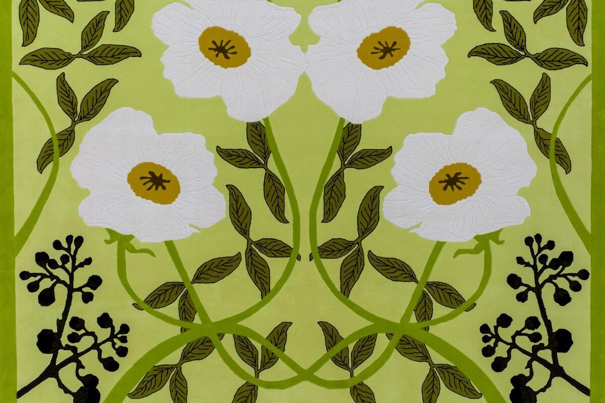 Kapwani Kiwanga - Rootwork | OKV