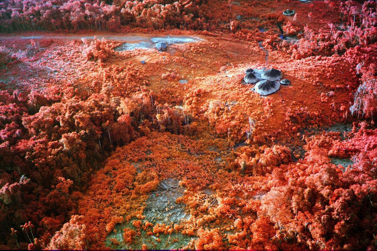 Onze impact op ecosystemen - Richard Mosse & Alexandra Daisy Ginsberg | OKV