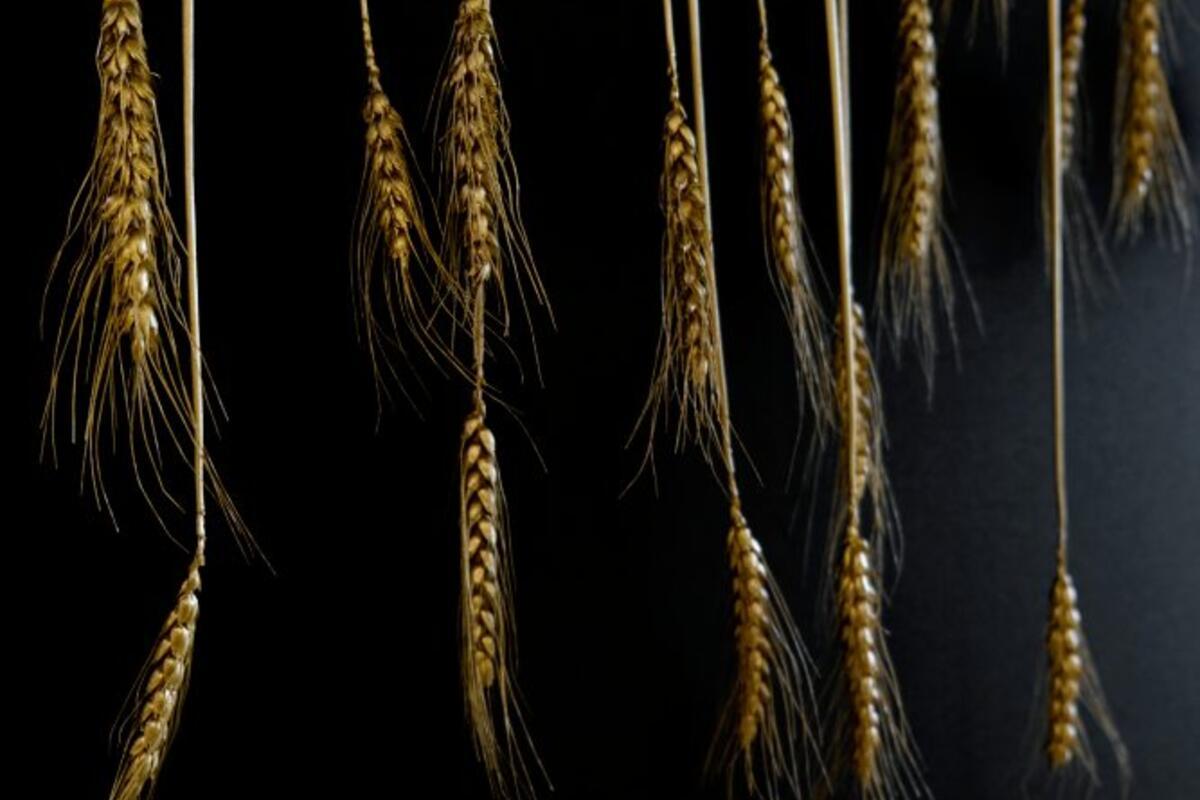 Monira Al Qadiri - The Archaeology of Beasts | OKV